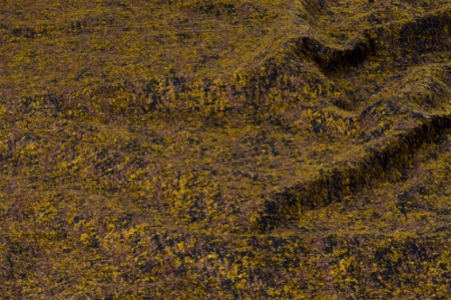 Moooi - Obscura Magazine