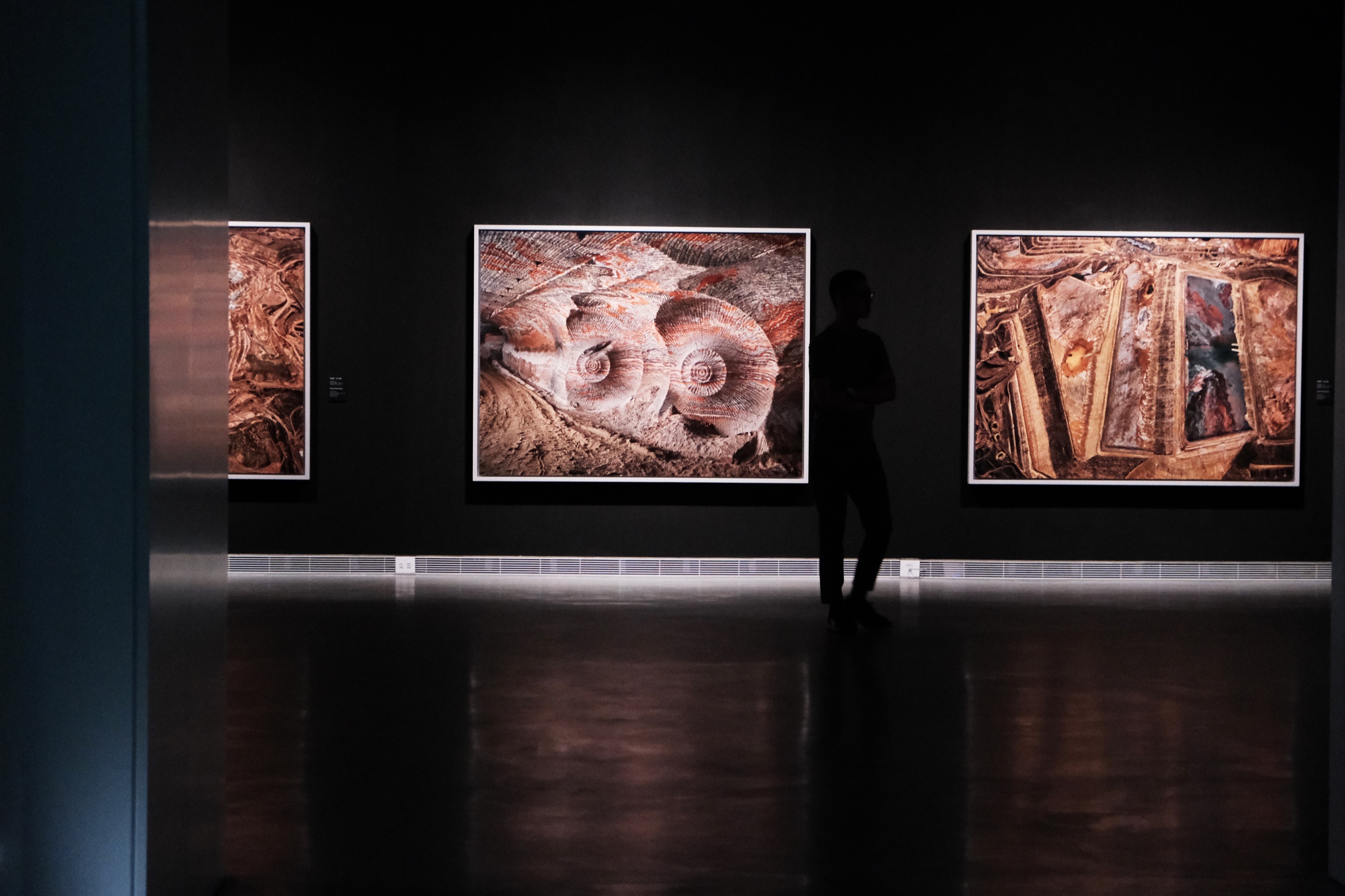 Anthropocene - Kaohsiung Museum of Fine Arts | Obscura Magazine