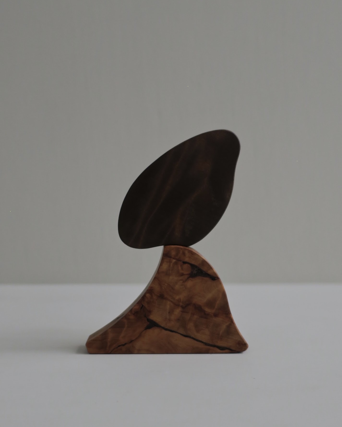 Sporadic Yet Focused, They Navigate Their Paths. - Obscura Magazine