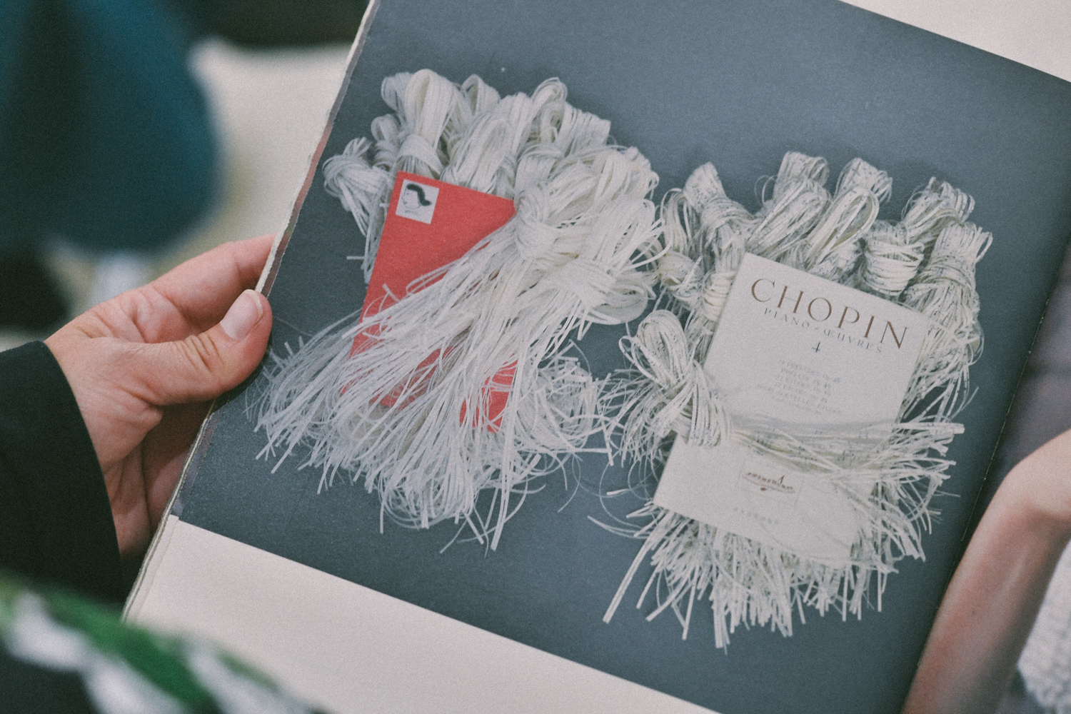 Movana Chen | Obscura Magazine